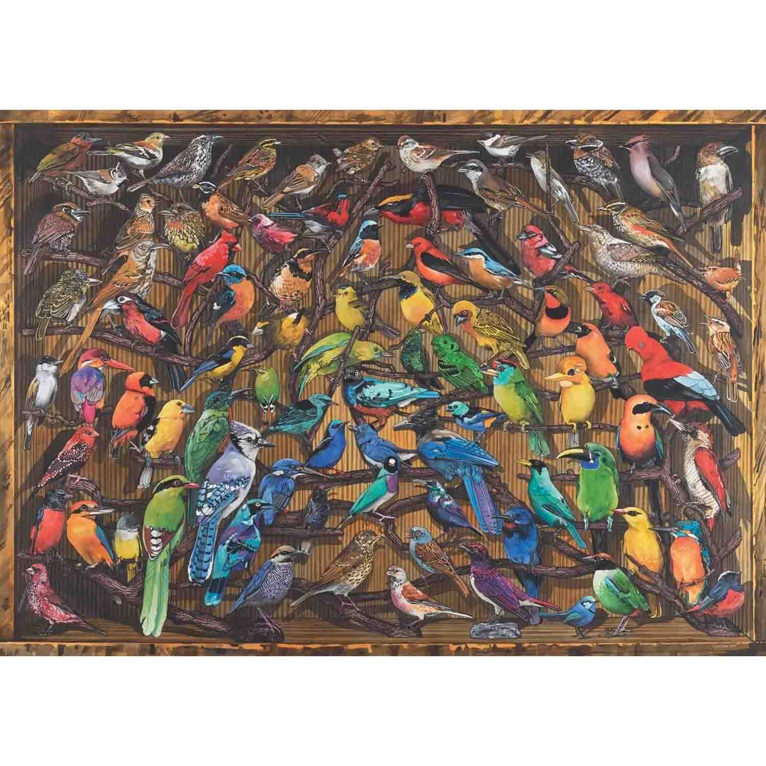 Puzzle Curcubeu De Pasari, 1000 Piese - RVSPA17478 | Bord31.ro